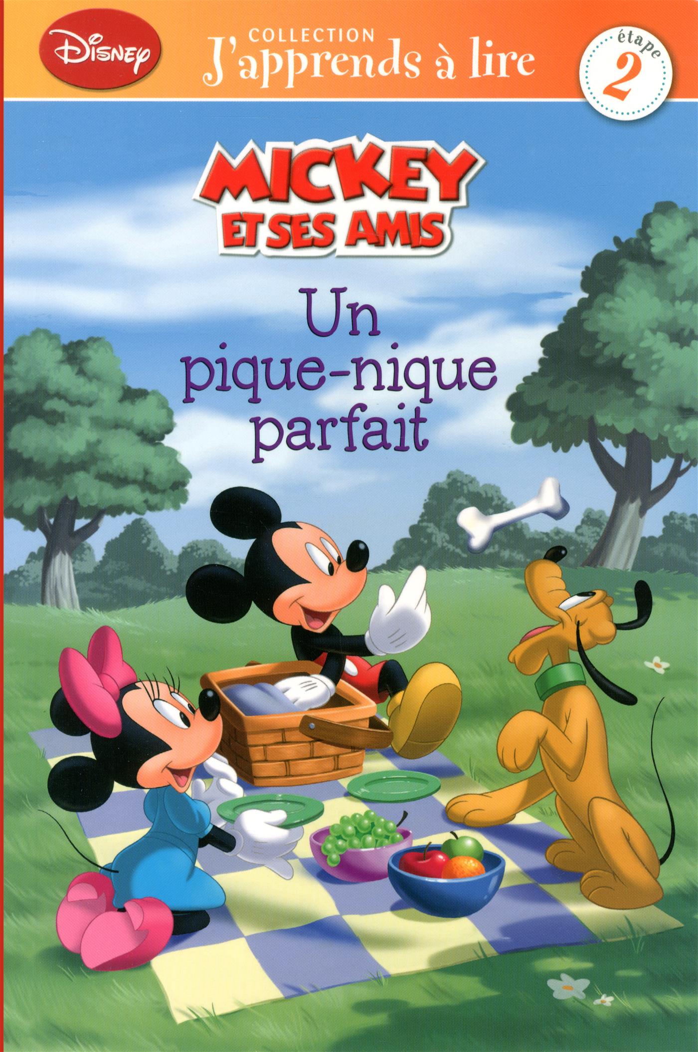 Livre Un pique-nique parfait | Messageries ADP