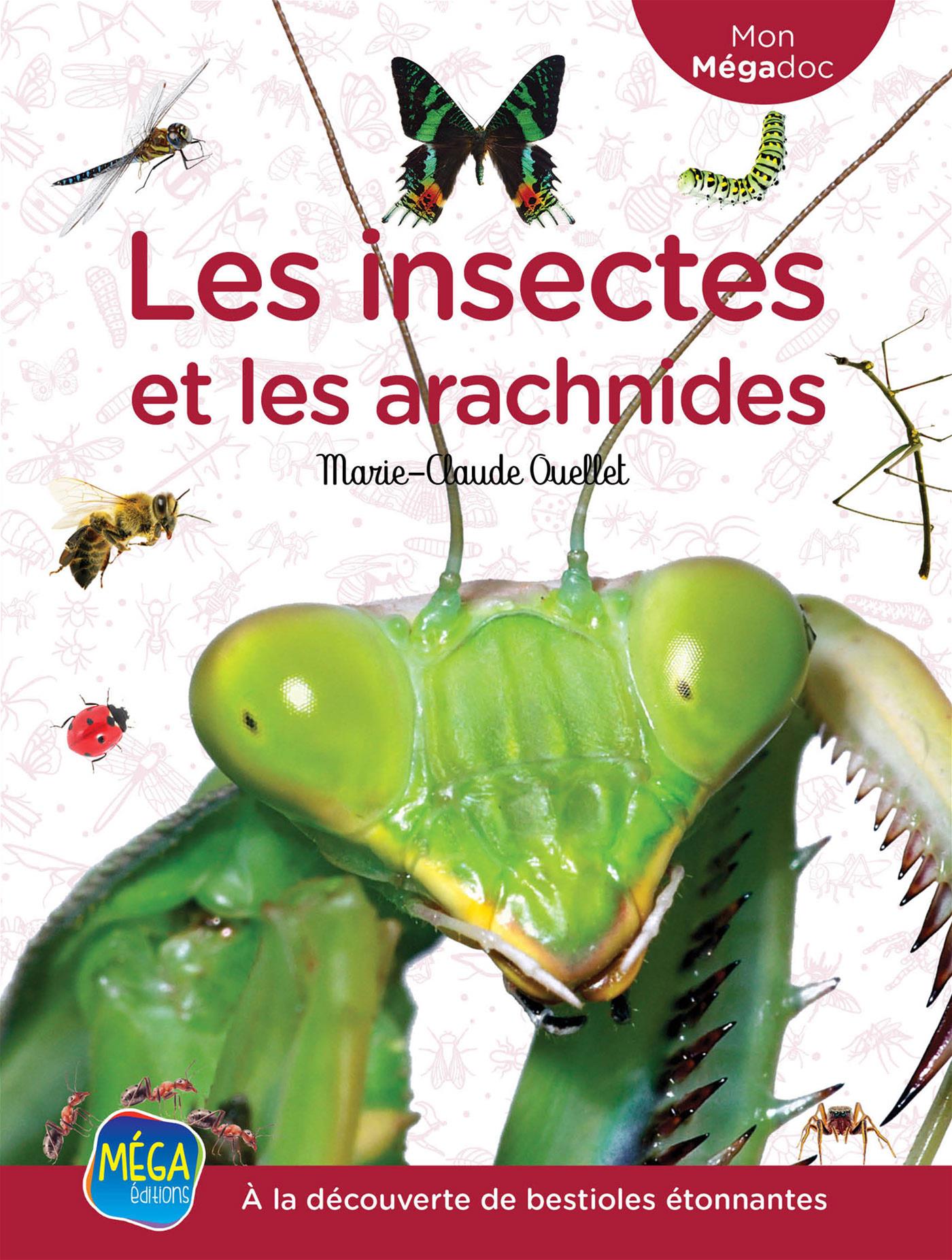 Livre Les insectes et les arachnides - À la découverte de bestioles ...